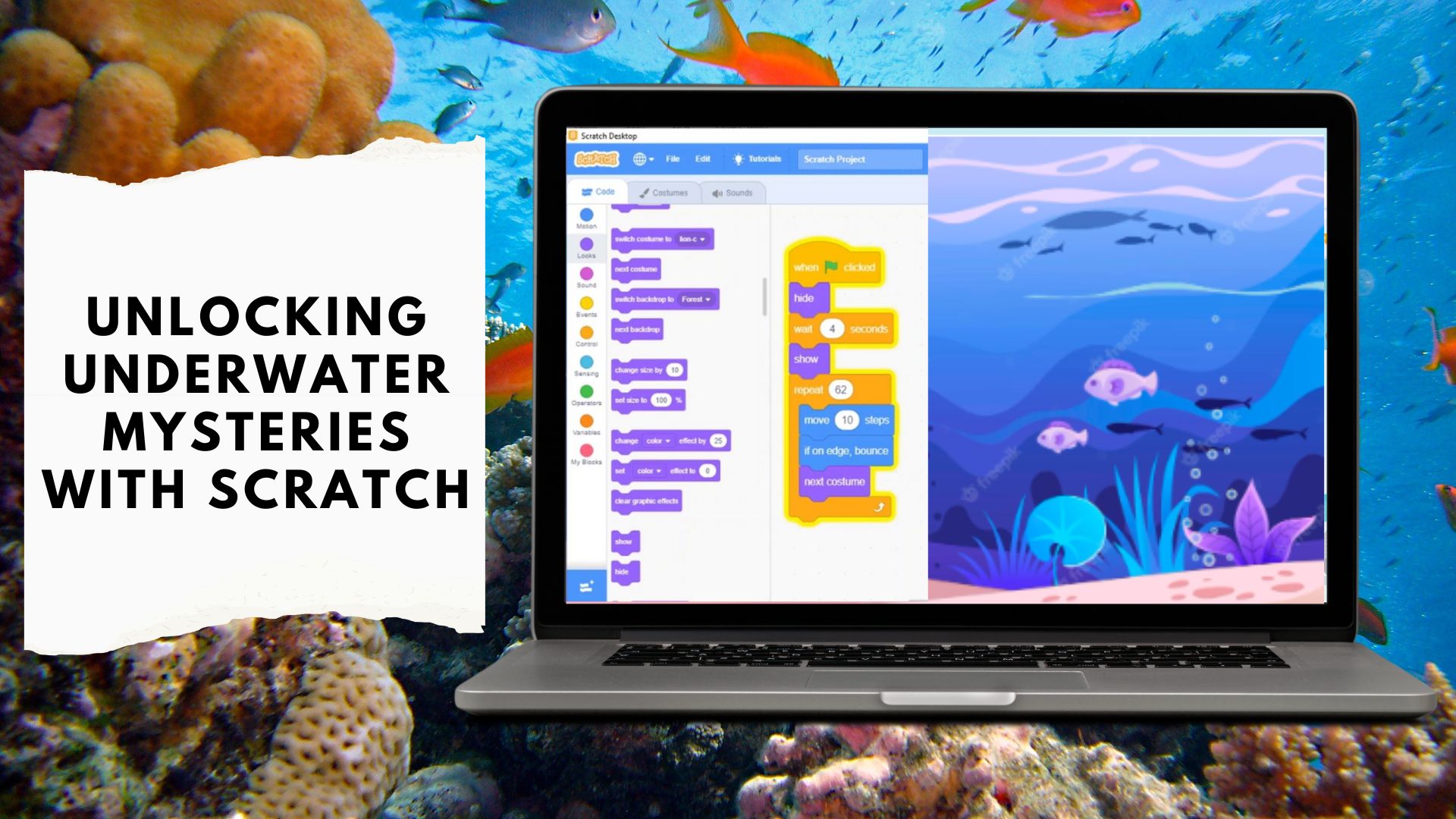 Unlocking underwater mysteries with scratch – D-Learn